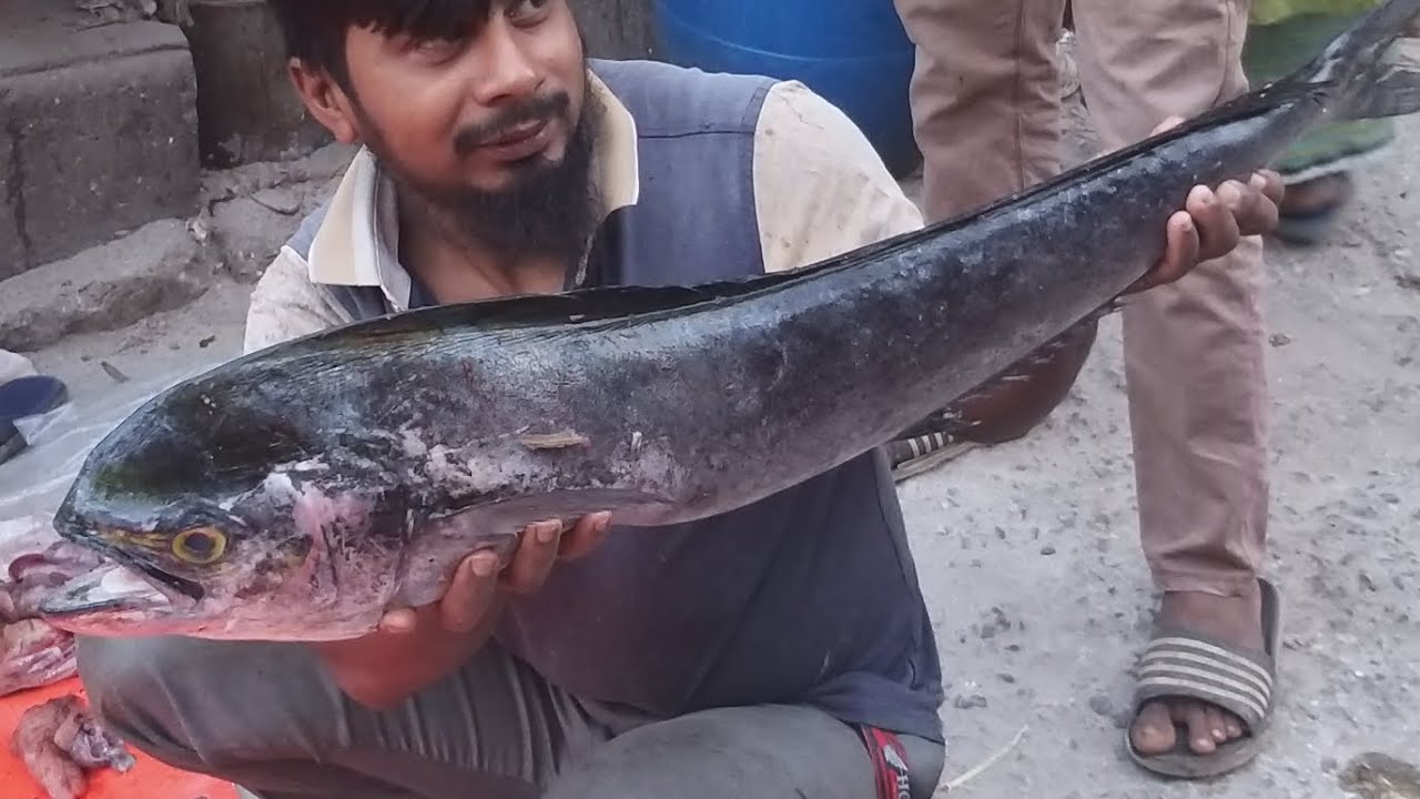 Unique Fish Cutting Skills.Amazing Big Pakhi Fish Cutting Skills In ...