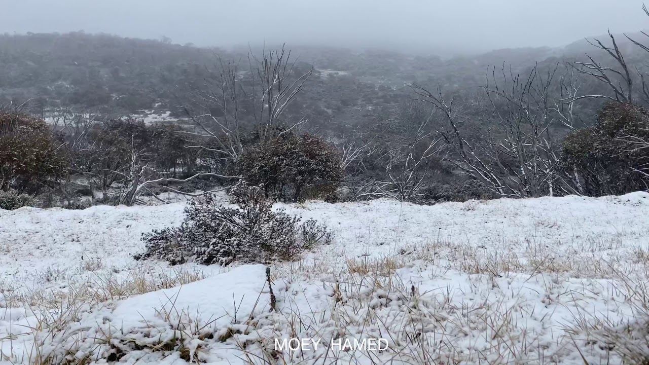 Snow falling on Kosciuszko mountain NSW Australia amazing relaxing ...