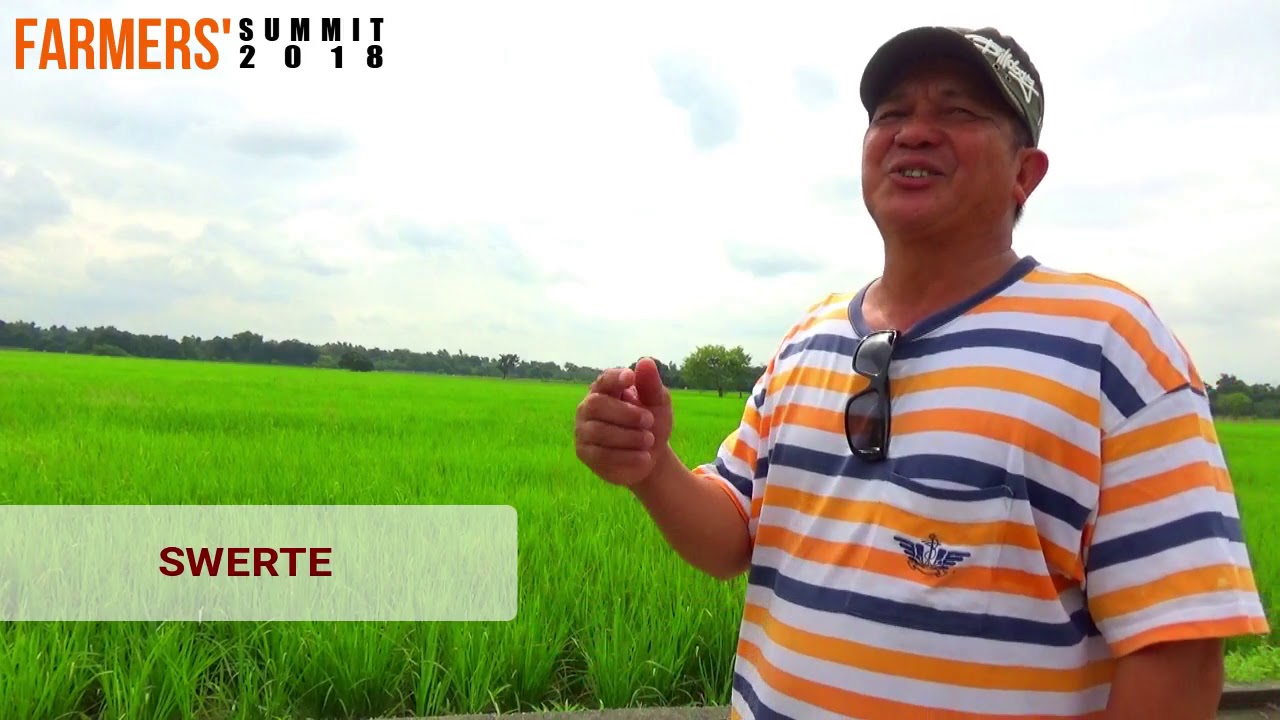 Mr Alvarez Story - YouTube