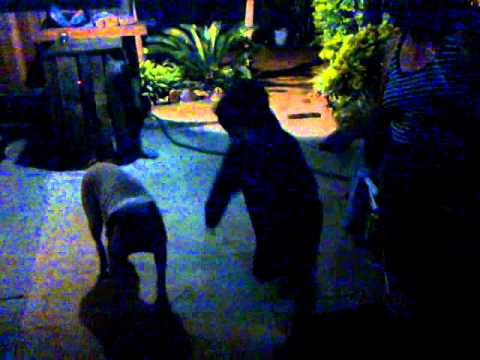 brakpan style - YouTube