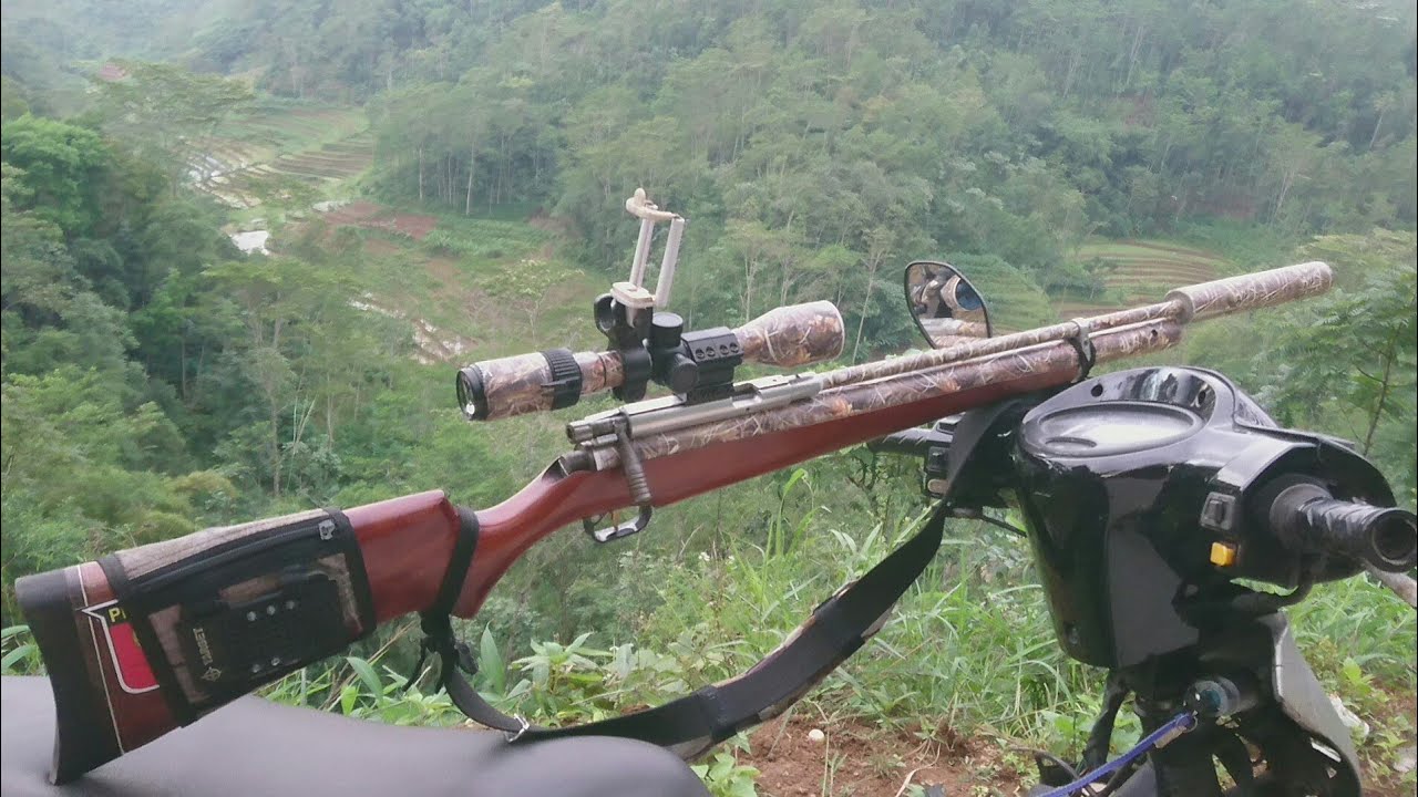 mantau di lokasi ideal pun hama babi belum tentu kluar lebih awal - YouTube