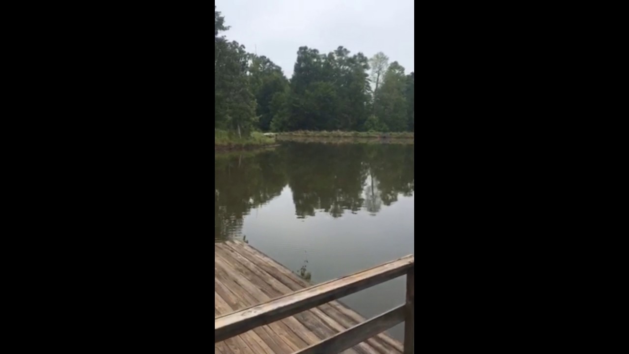 Alabama Bigfoot growls - YouTube