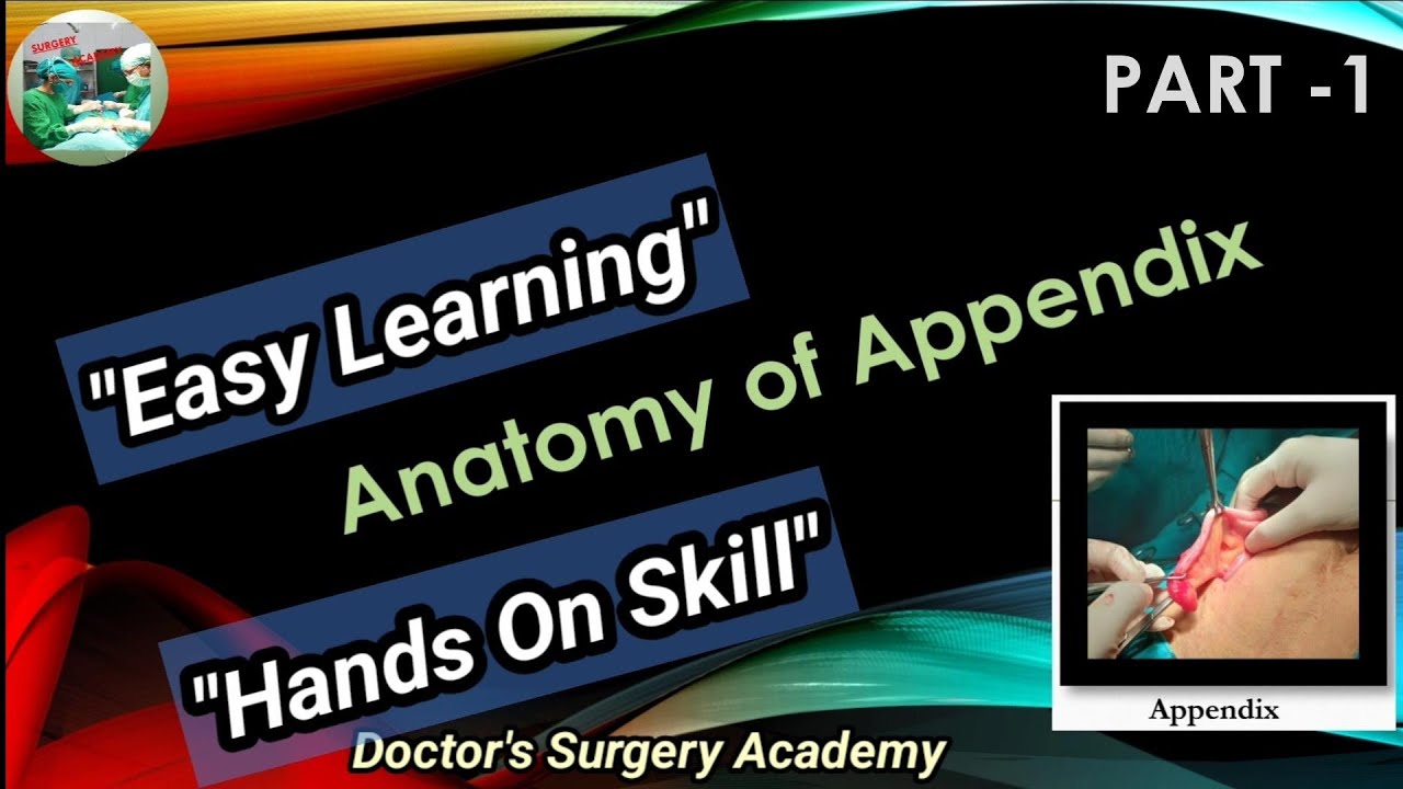 Anatomy of Appendix | Appendix Part -1| What is Appendix | Situs ...