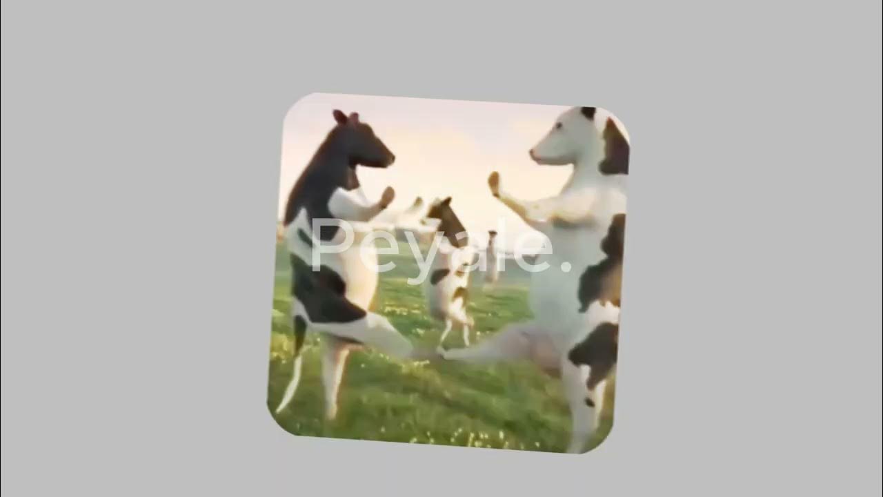 OWA OWA + Playboi Carti FULL VER - YouTube