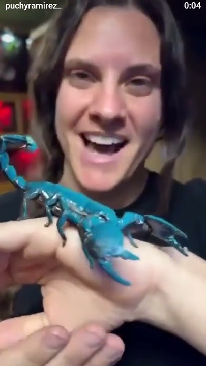 glow in the dark scorpion - YouTube