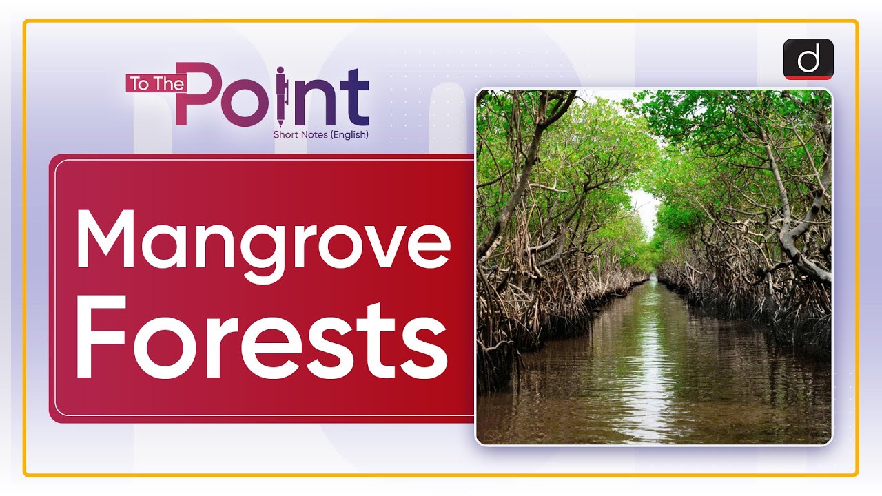 Mangroves Forests | To the Point | Drishti IAS English - YouTube