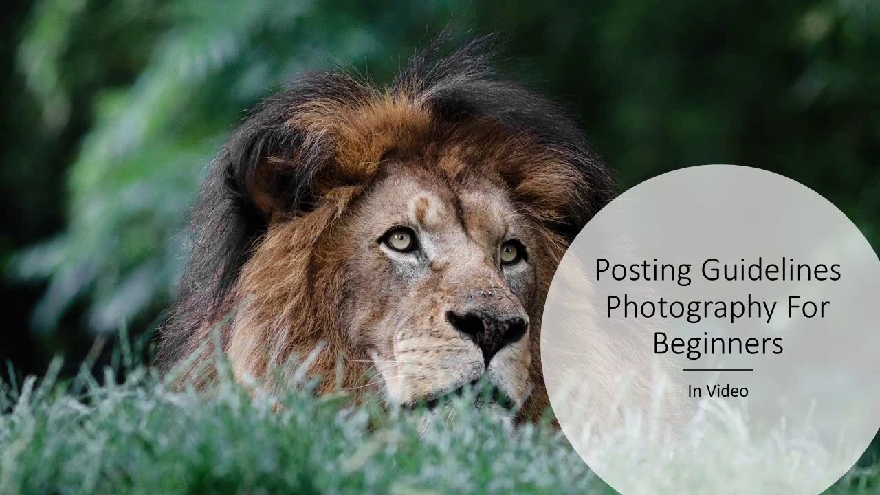 Posting Guidelines Photography For Beginners - YouTube