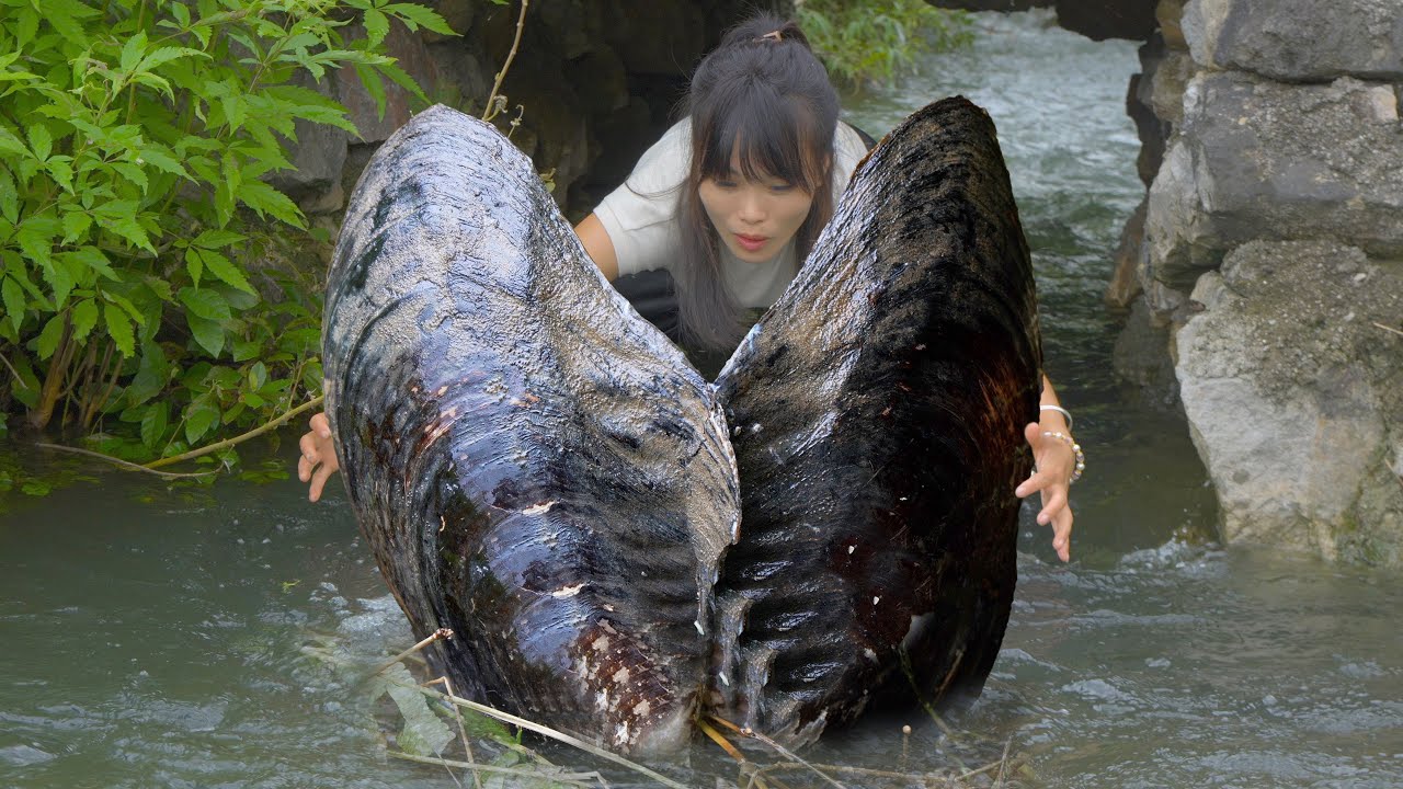 Stunning Underwater Discovery: Ancient Mutant Clam Yields Million ...