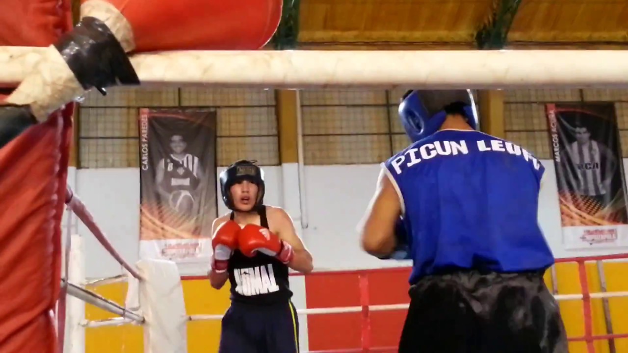 Festival de box -Alan Contreras - diciembre de 2016 - YouTube