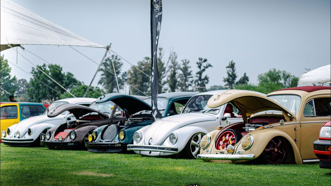 Bug Splash 2023 - film’s | Euro | Volkswagen | Vocho | Rabbits and ...