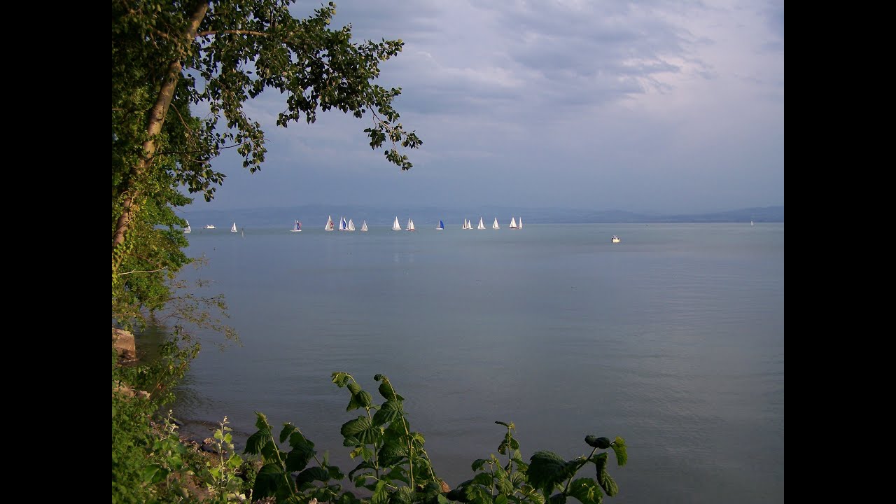 That Day - music Alexander Kovacs - YouTube