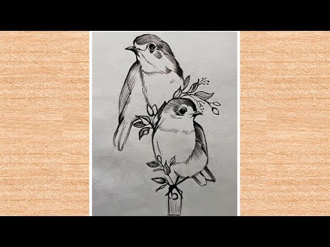 How to draw a birds on branch,easy birds Drawing,simple bird drawing ...