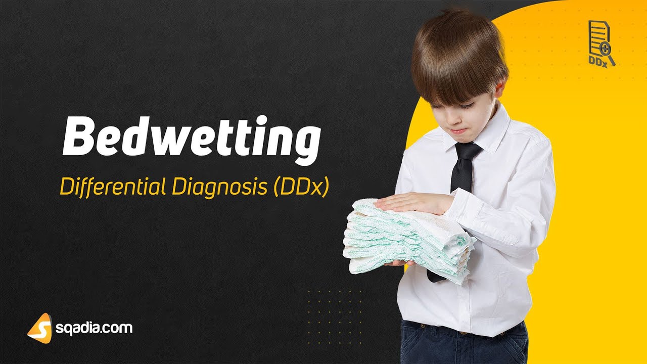 Bedwetting (Enuresis) Differential Diagnosis | Incontinence | Nocturnal ...