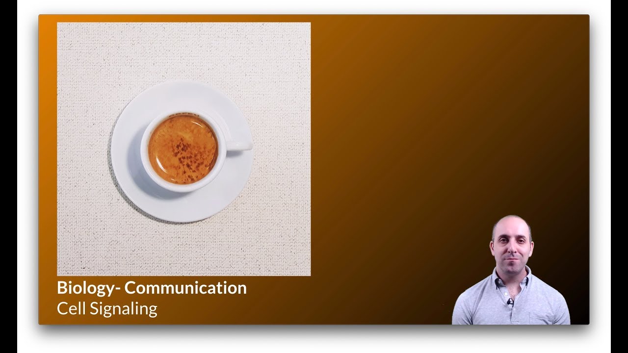 K-Bio Communication 2: Cellular Communication - YouTube