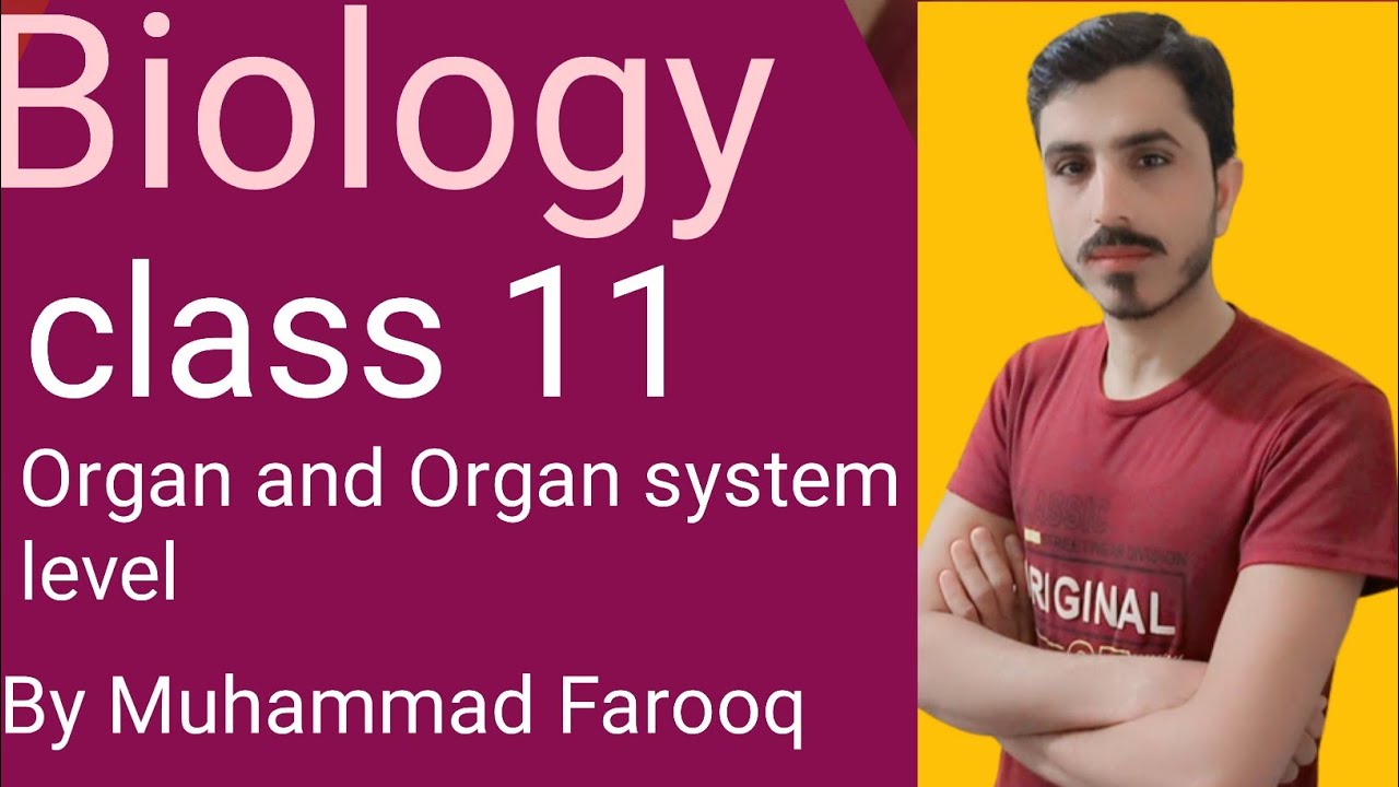 lecture 6: levels of biological organization, Organ and Organ system ...