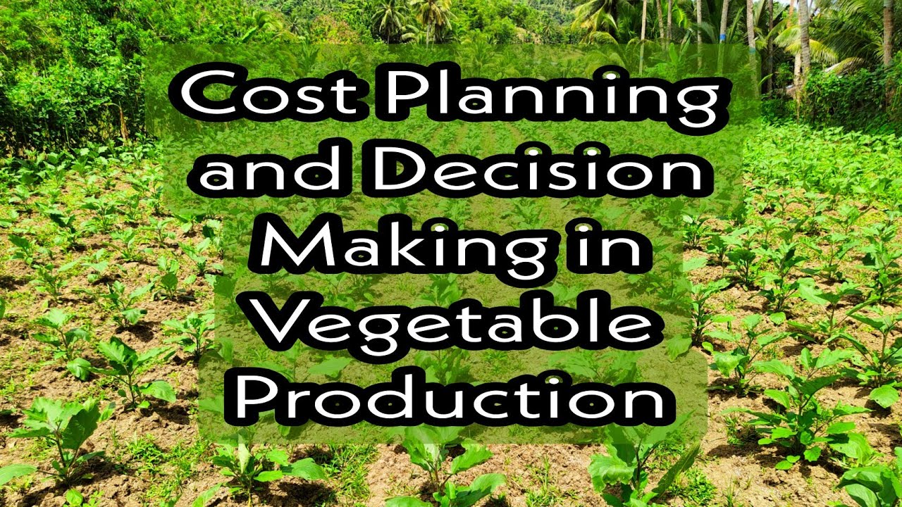 Cost Planning and Decision Making in Vegetable Production - YouTube