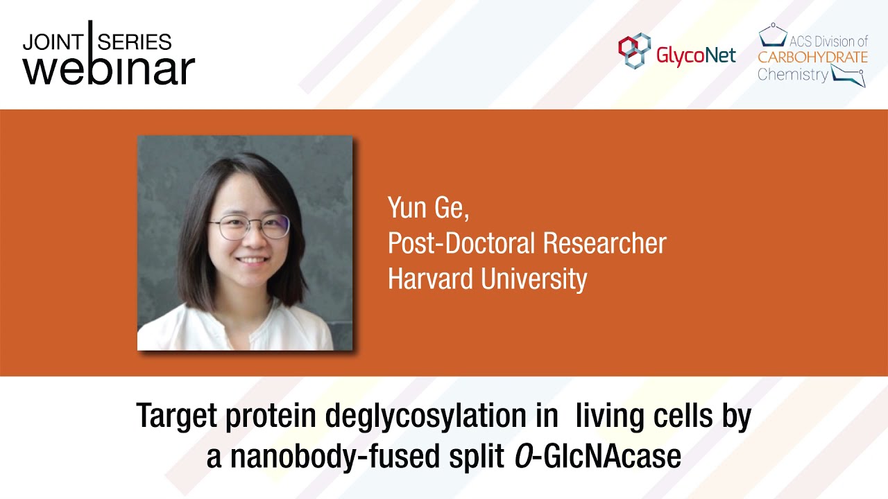 GlycoNet/#ACSCARB Webinar ft. Dr. Yun Ge - YouTube