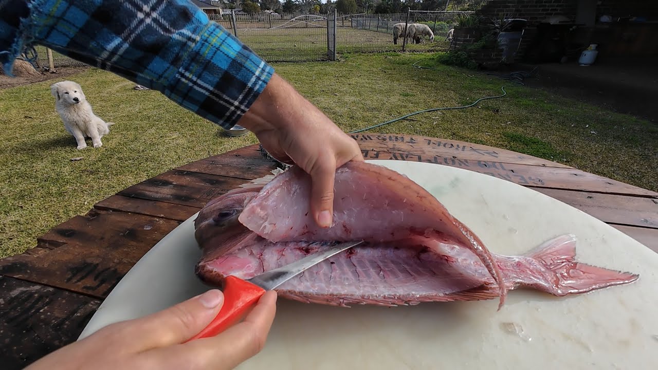 HOW TO fillet, skin & de-bone a SNAPPER! - YouTube