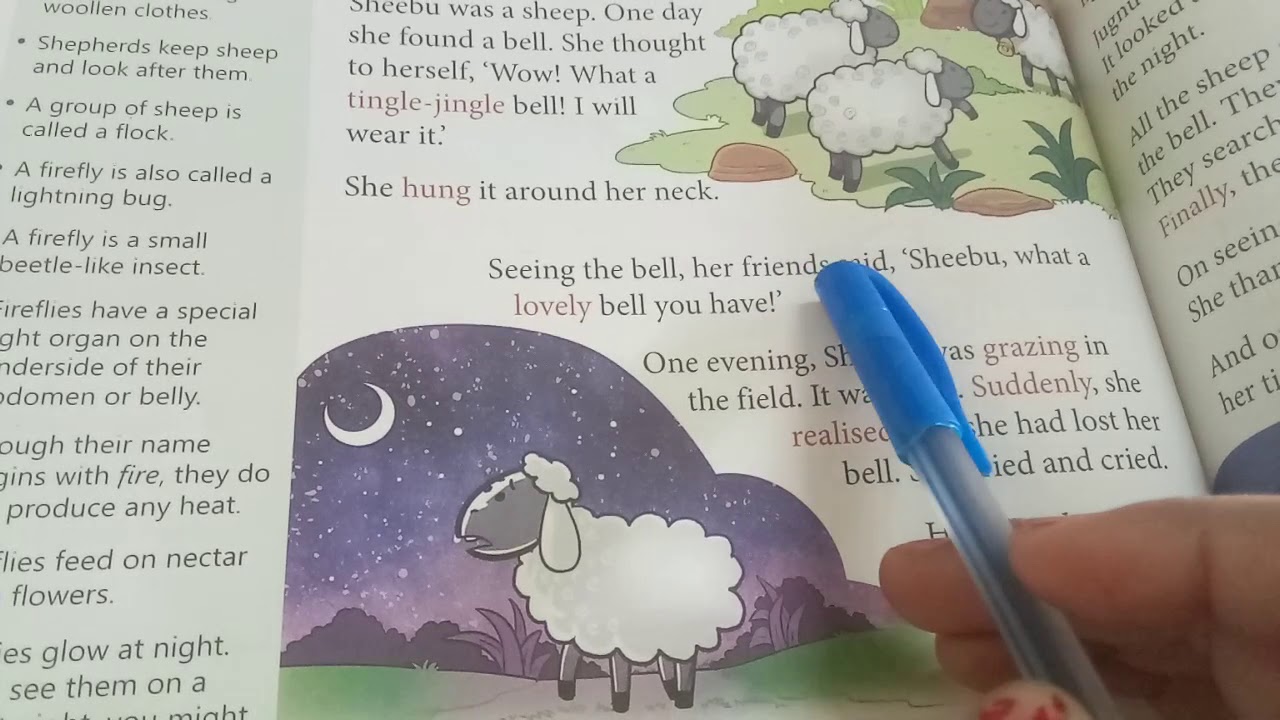 sheebu , the sheep - YouTube