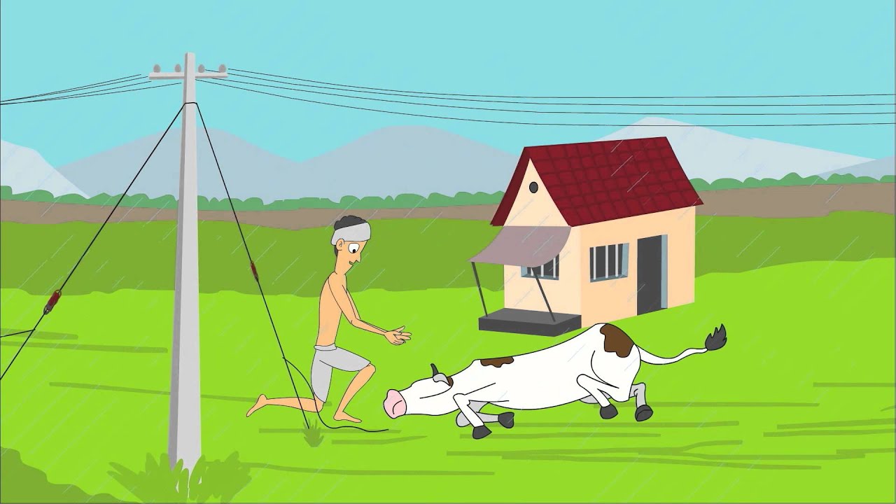 GESCOM safety measures on Cow - YouTube