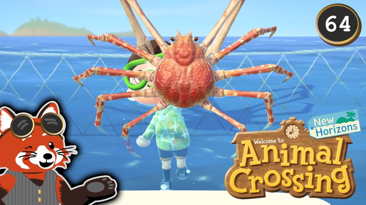 Animal Crossing | Playthrough 64 (LIVE) - YouTube