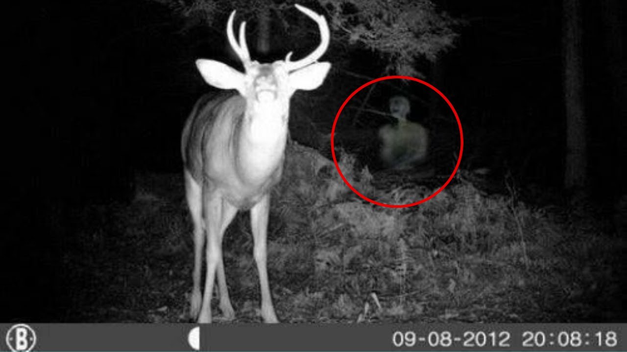 TERRIFYING Cryptids Caught On Camera - YouTube