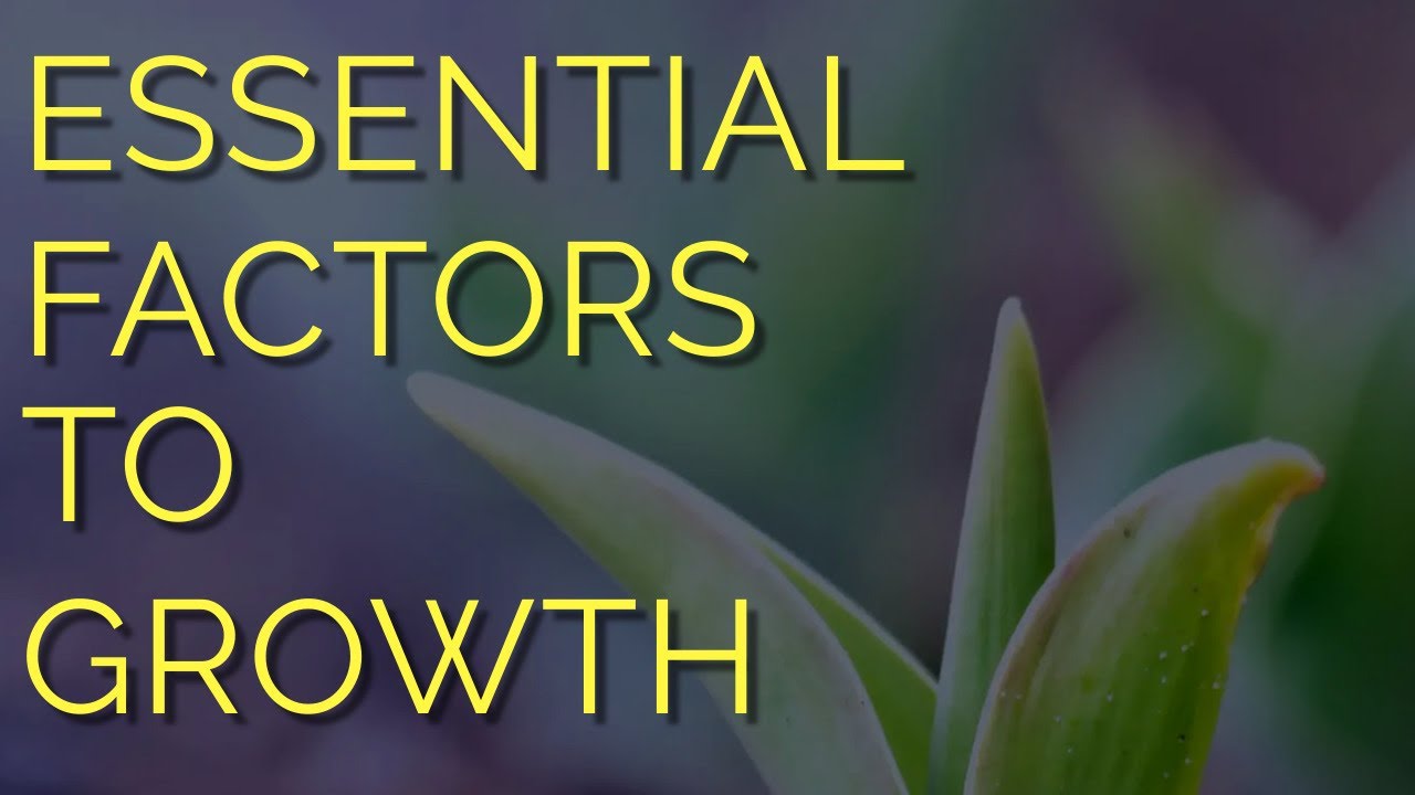 Essential Factors To Growth | Deacon John Blocker | April 23, 2023 | 12 ...