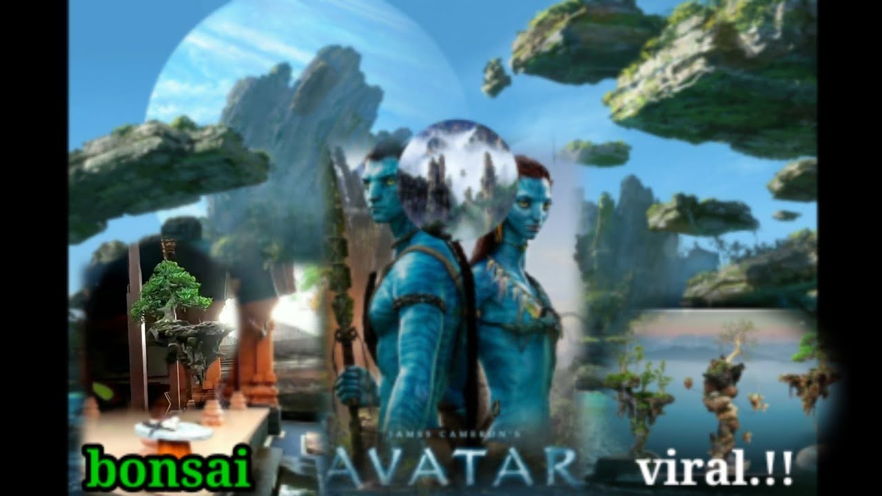 bonsai avatar|| bonsai terbang viral - YouTube