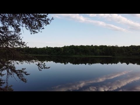 Pillager, Minnesota - Crow Wing River Solitude - YouTube