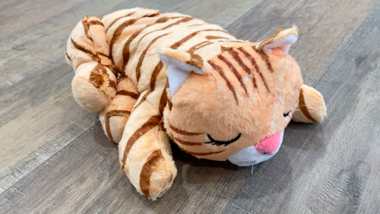 😿 The Saddest Cat Toy I've Ever Seen — HuggieKitty - YouTube