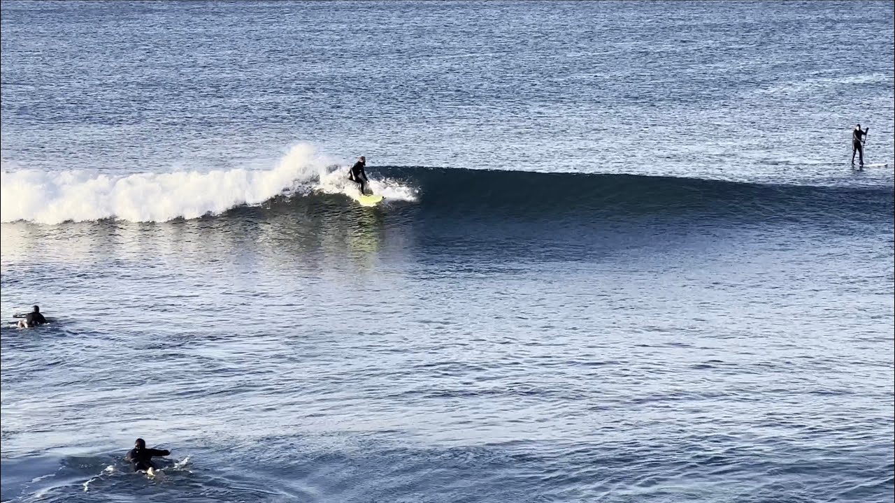 Oceanside | Surf and Wildlife November 2022 - YouTube