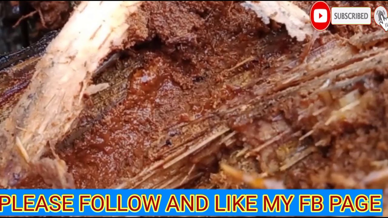 SARAP NG BATUD Tara Kain tayo. Please share and subscribe like. Salamat ...