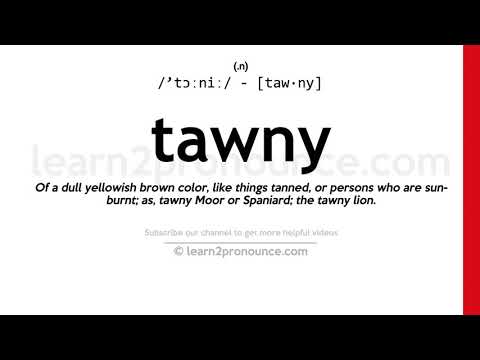 esmer okunuşu | Tawny Tanımı