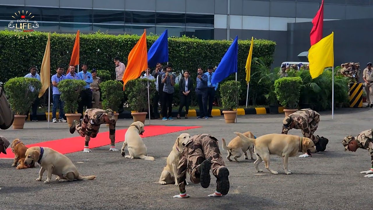 dog squad performed demo Is celebrating Independence Day #cisf - YouTube