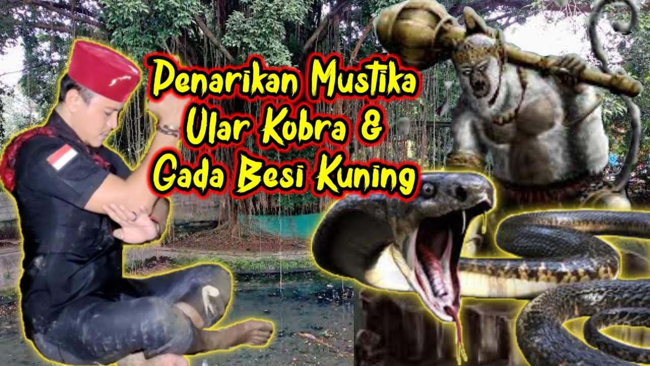 Penarikan Mustika Ular Kobra Dan Gada Wesi Kuning - YouTube