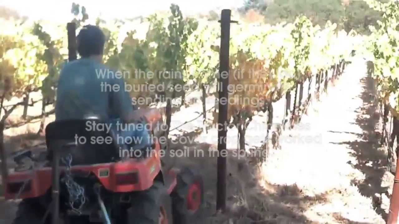 The Tractor Chronicles: -Episode #4- Using the Chain Harrow - YouTube