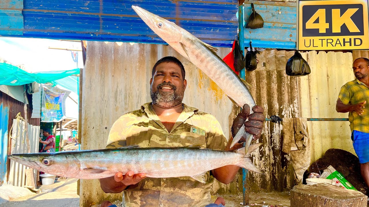 Sila fish cutting video/Fishcuttingrs #fishcuttingrs #kasimedu #fish ...