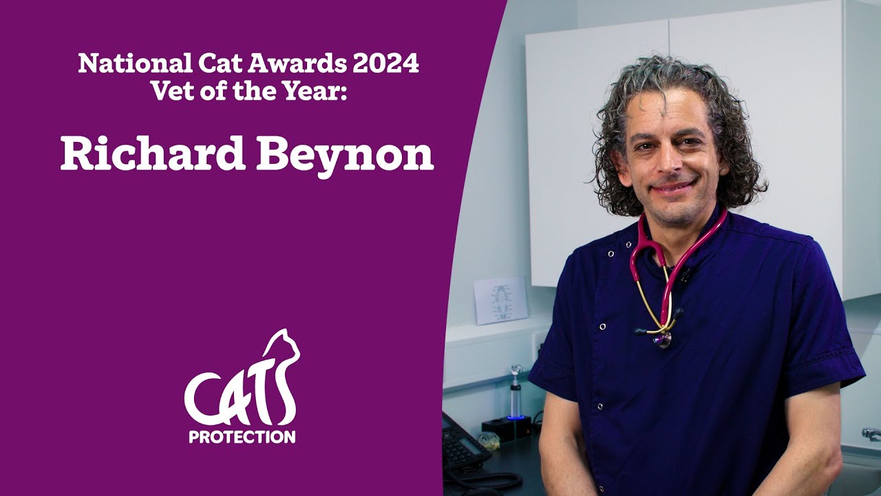 Richard Beynon | Vet of the Year | National Cat Awards 2024 - YouTube