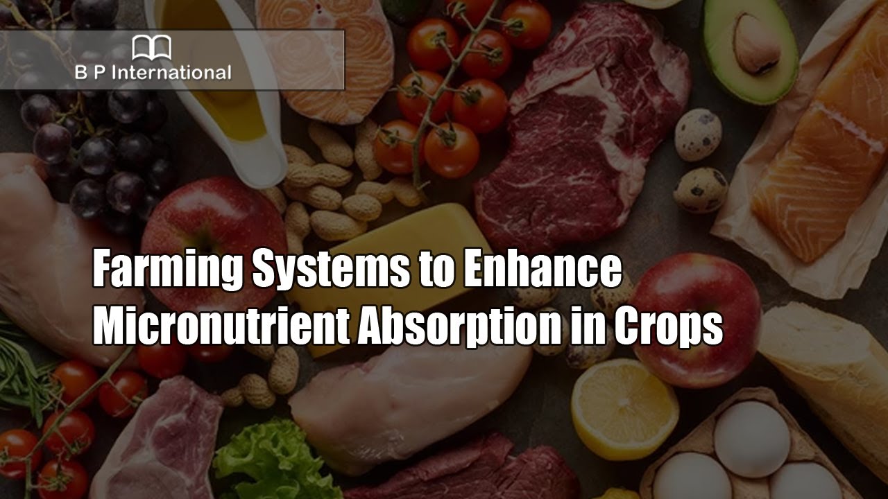 Farming Systems to Enhance Micronutrient Absorption in Crops - YouTube