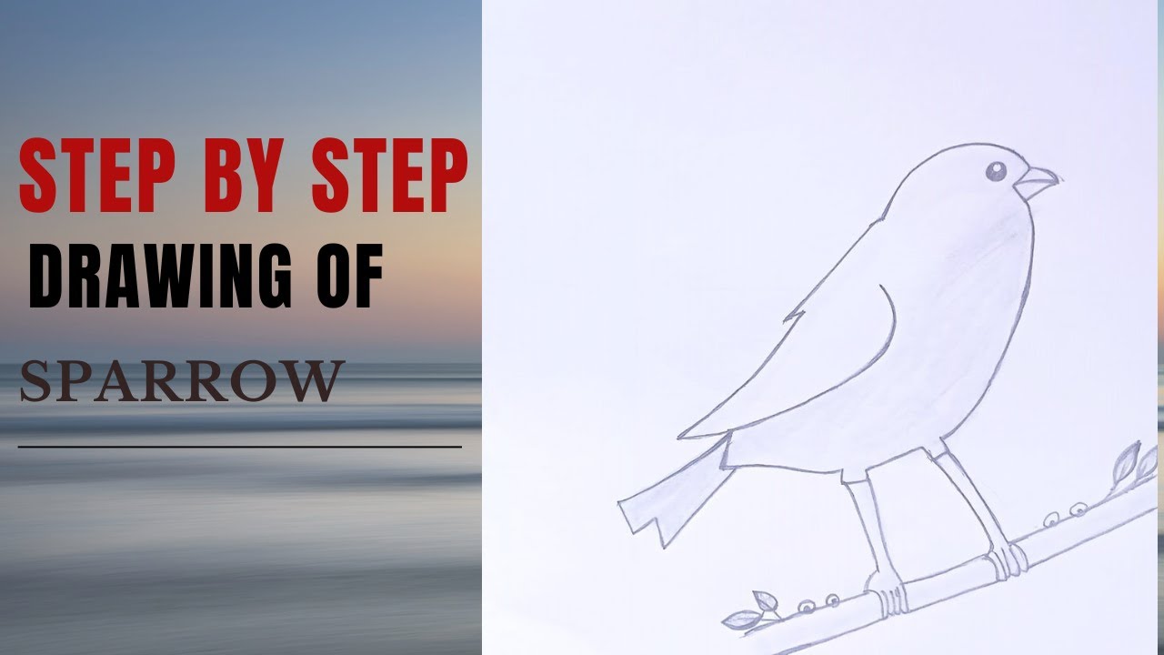 Step by Step Drawing of Sparrow || Lead Pencil art || Easy Drawing || # ...
