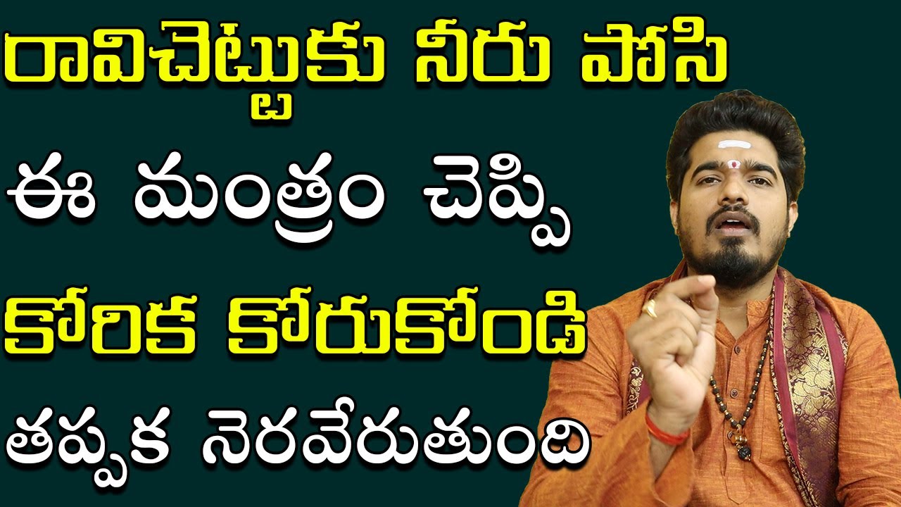 రావిచెట్టు ద‌గ్గ‌ర ఈ మంత్రం చెబితే ఎన్ని ఫ‌లితాలు || Raavi Chettu ...
