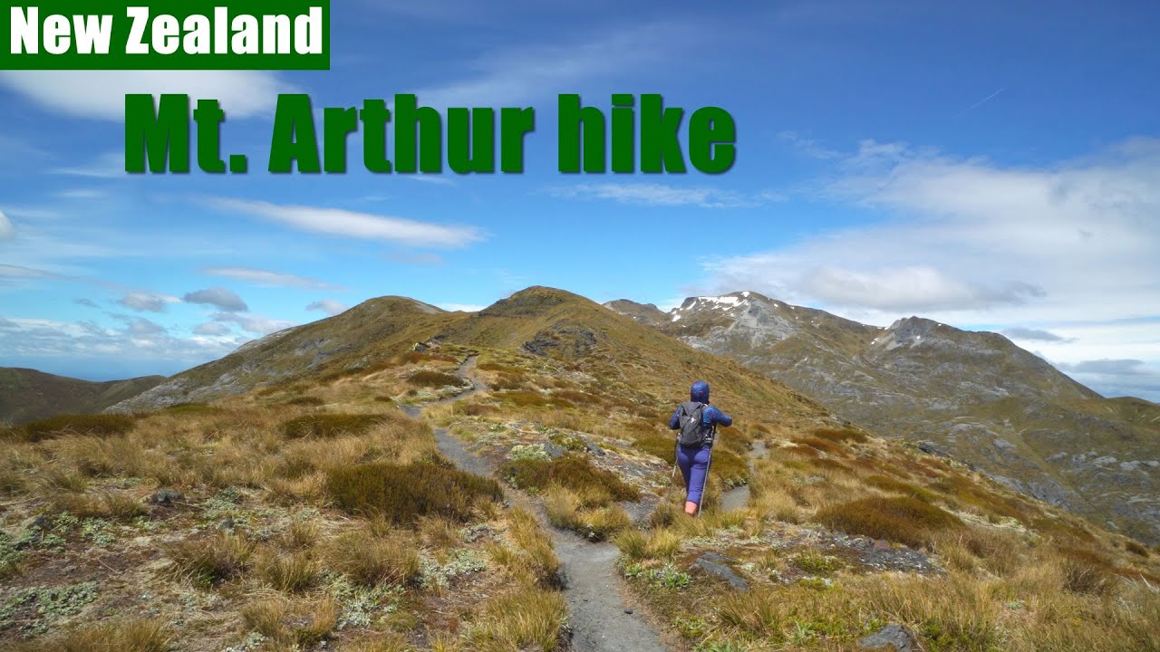 Mt Arthur hike 🇳🇿 New Zealand - YouTube