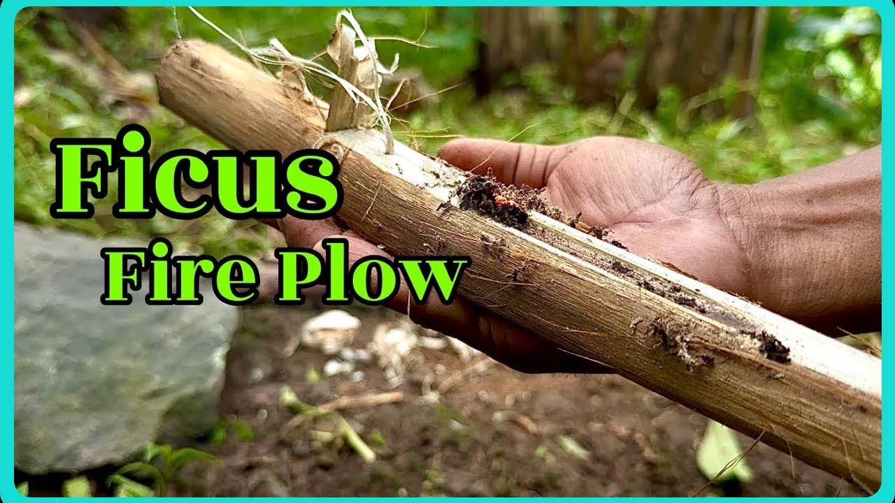 The Fire Plow uses Ficus wood - YouTube