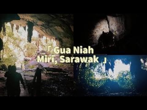 Day Trip To Gua Niah Miri, Sarawak - YouTube