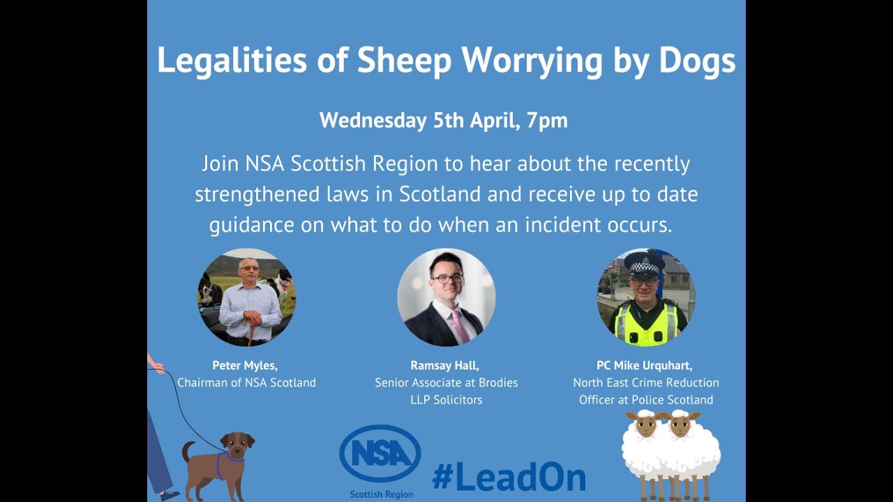 NSA Scotland - Legalities of Sheep Worrying by Dogs Webinar - YouTube