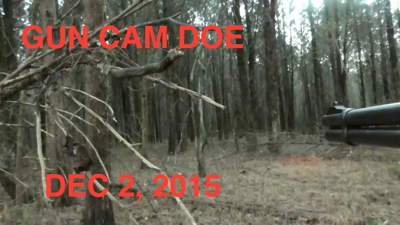 GUN CAM: Doe Rifle Kill 20 Yards 2015 - YouTube