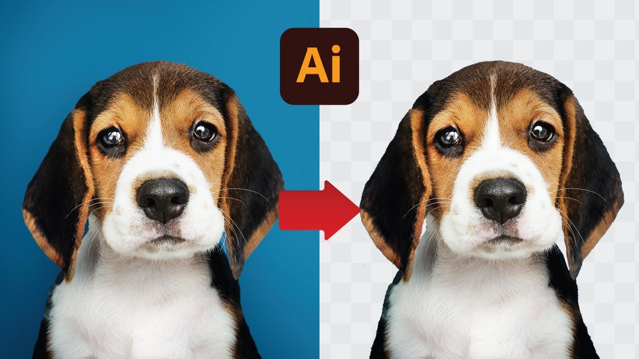 How to cut out an image / object & Remove Background in Illustrator CC ...