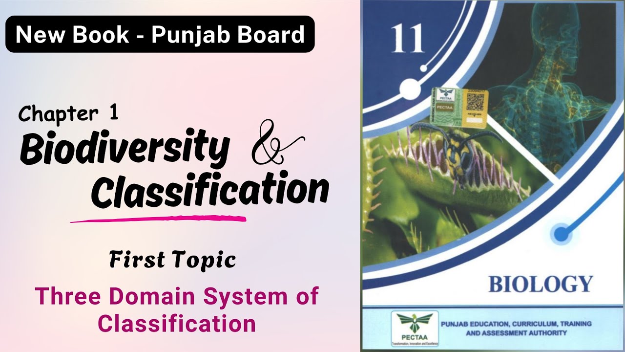 Three Domain System of Classification | Chapter 1 Biodiversity | Punjab ...