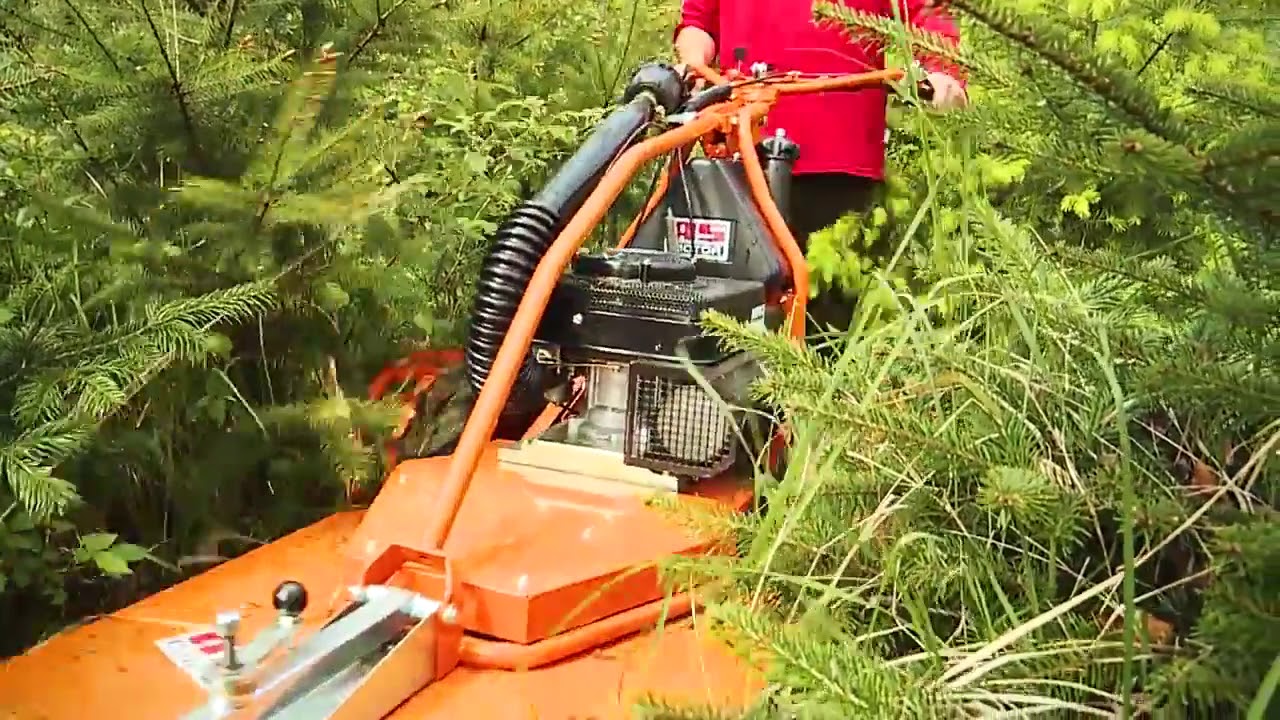 AS MOTOR tondeuse débroussailleuse AS65 - YouTube