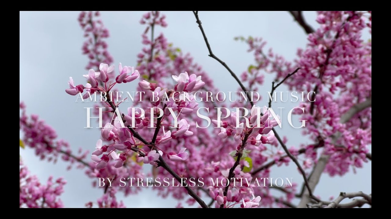4K Videos of Happy Spring - Ambient Background Music - YouTube